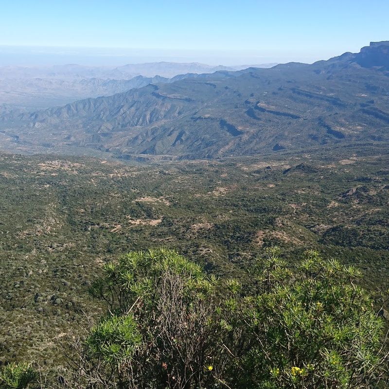 Daallo Park: Parque natural em Ceerigaabo, Somália