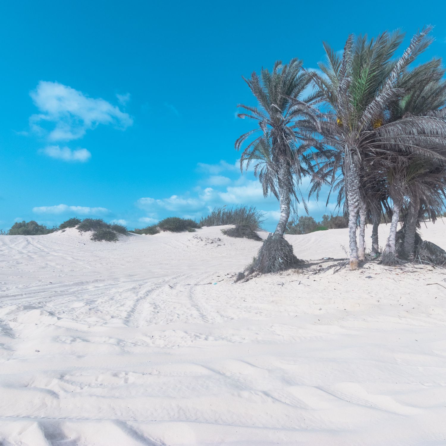 Nitzanim Nature Reserve - Coastal nature reserve in Southern Plain, Israel
