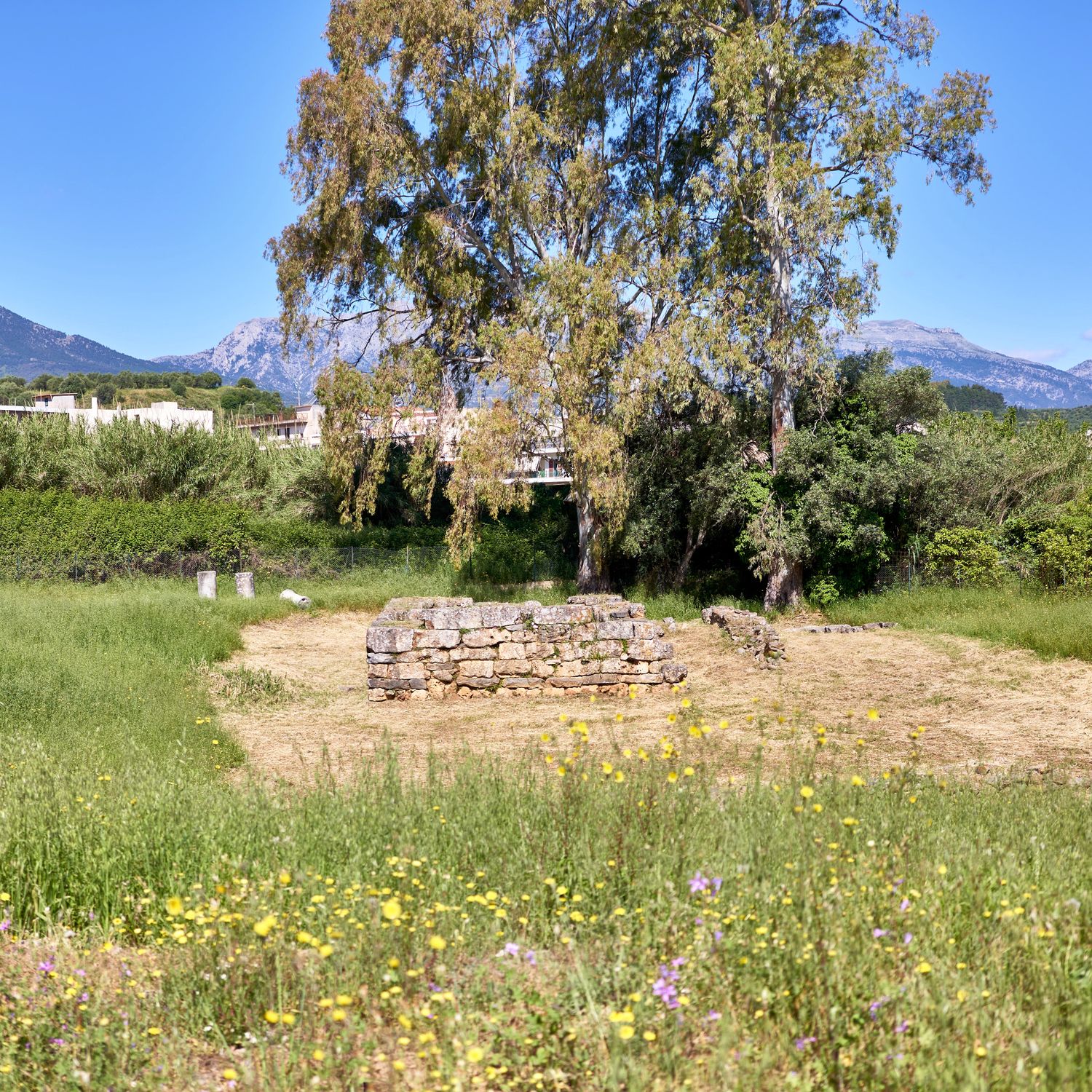 Santuario de Artemisa Ortia - Templo griego antiguo en Esparta, Grecia