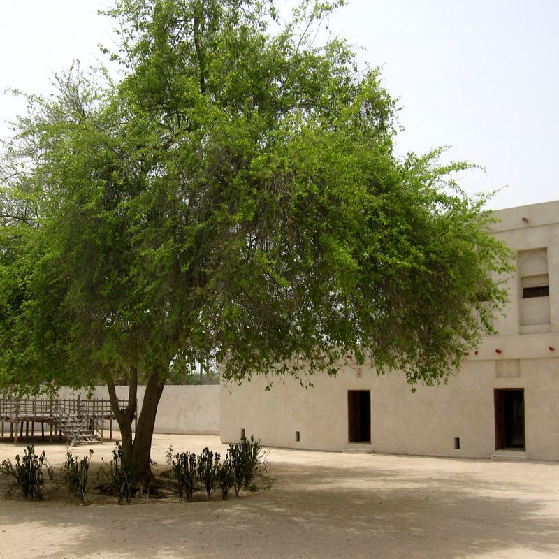 Al Jasra House - Casa histórica en Gobernación Norte, Bahréin